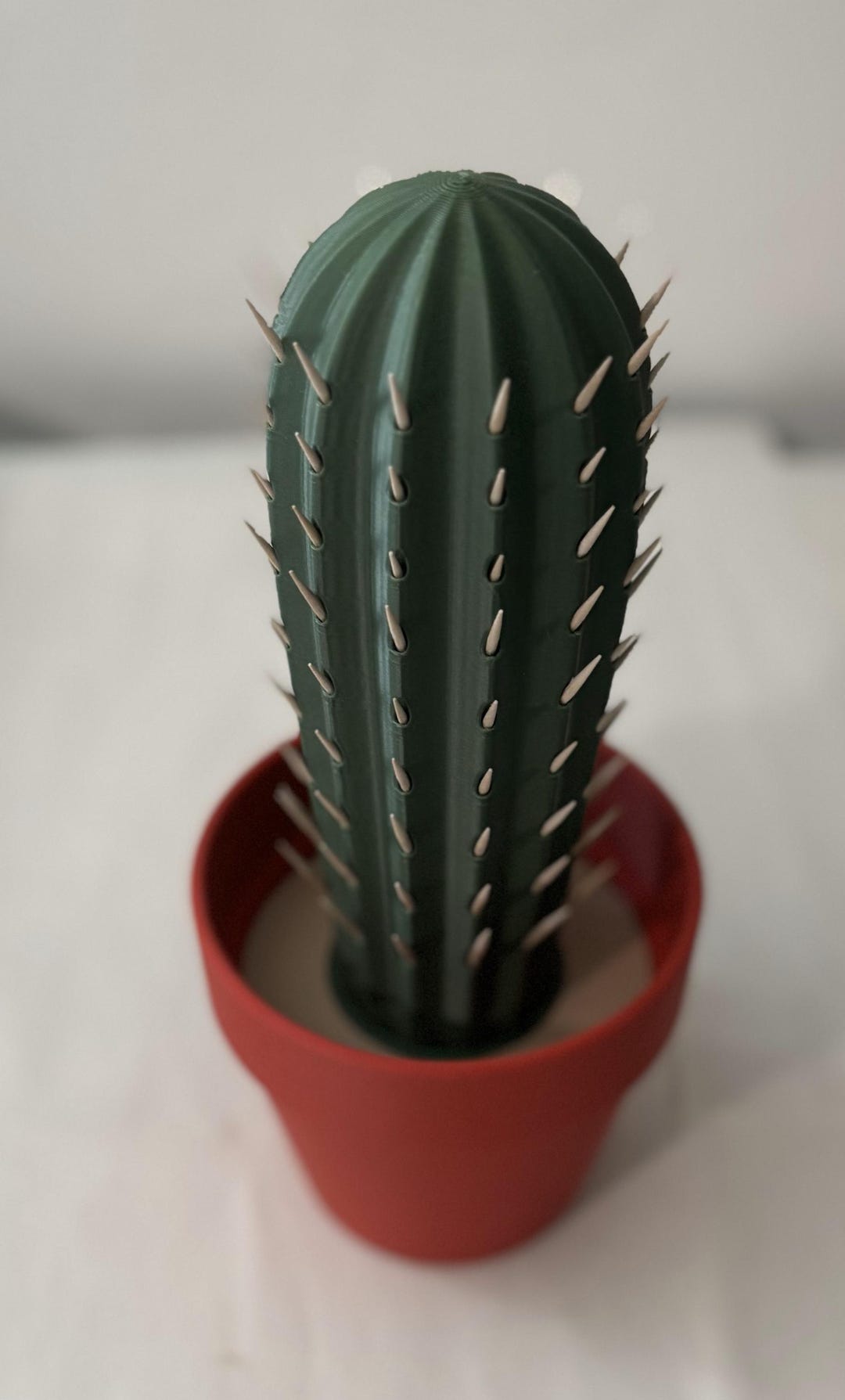 Cactus Toothpick Holder - Etsy
