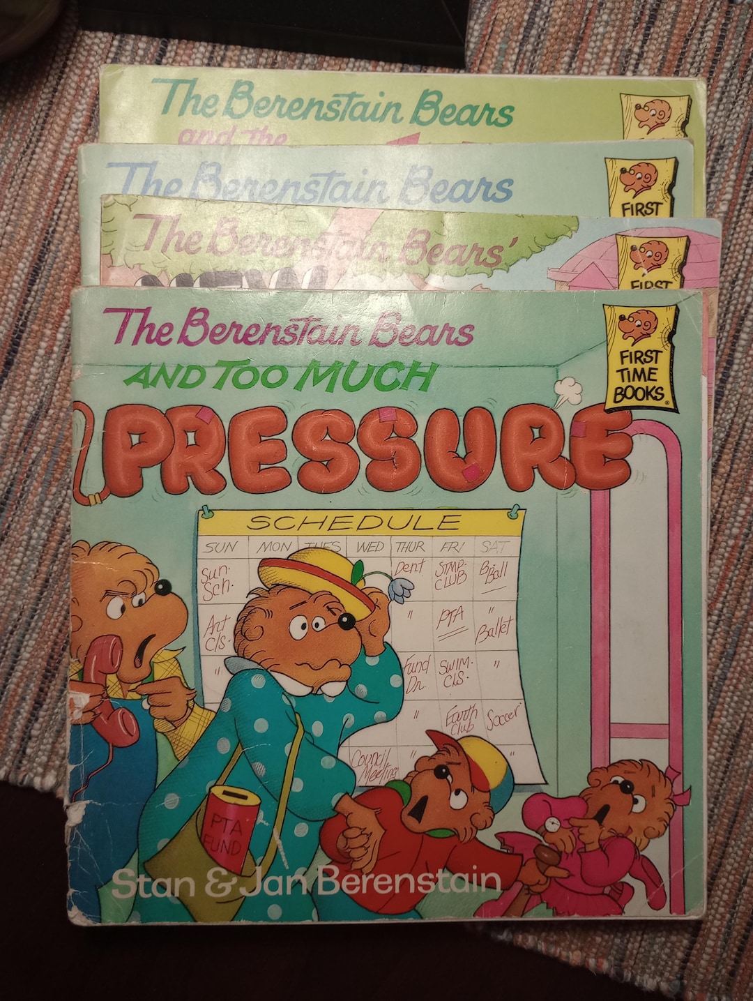 Set of Berenstain Bears Children's Books | Well Loved Classics | Papa ...