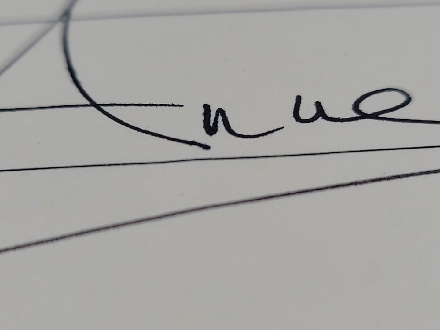 Princess Anne Signed Royal Document Queen Elizabeth Royalty Autograph ...