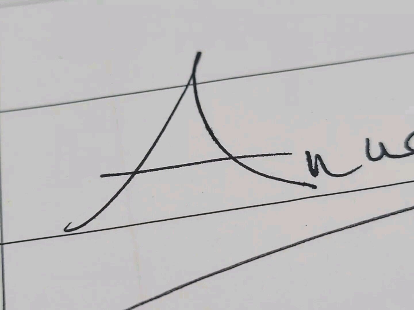 Princess Anne Signed Royal Document Queen Elizabeth Royalty Autograph ...