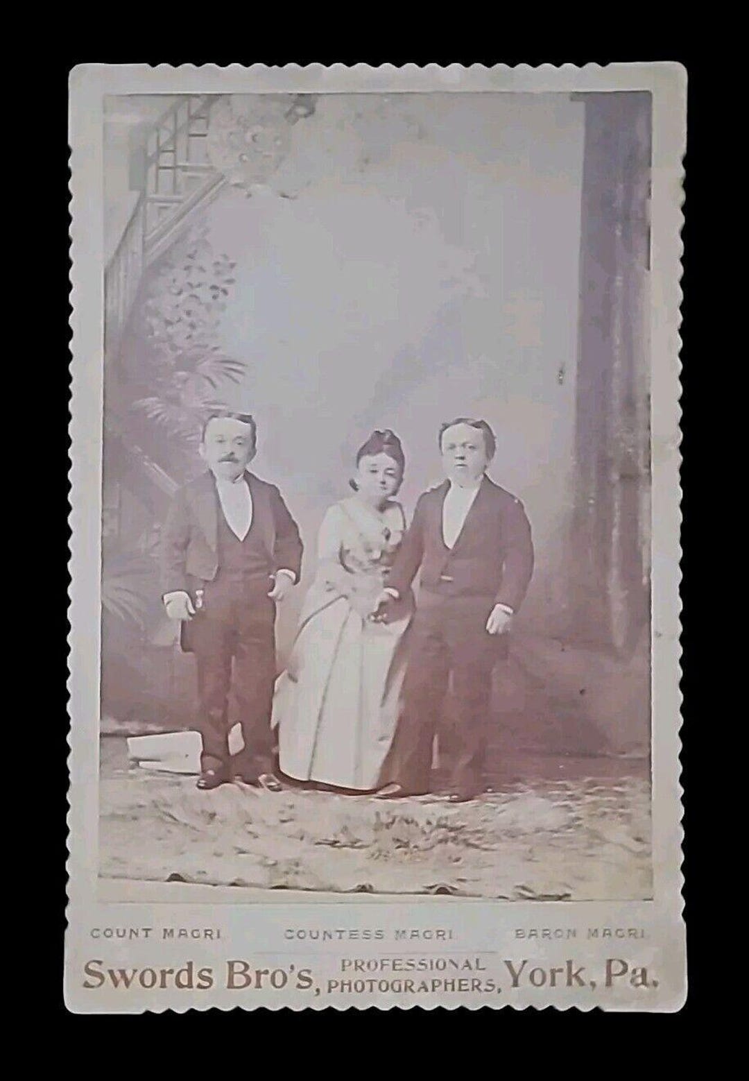 Royal Count Primo Magri Signed Photo CDV Cabinet Card Baron Ernesto ...