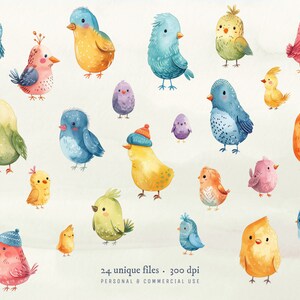 Cute Birds Clipart Set, Digital Downloads, PNG Graphics, Transparent ...