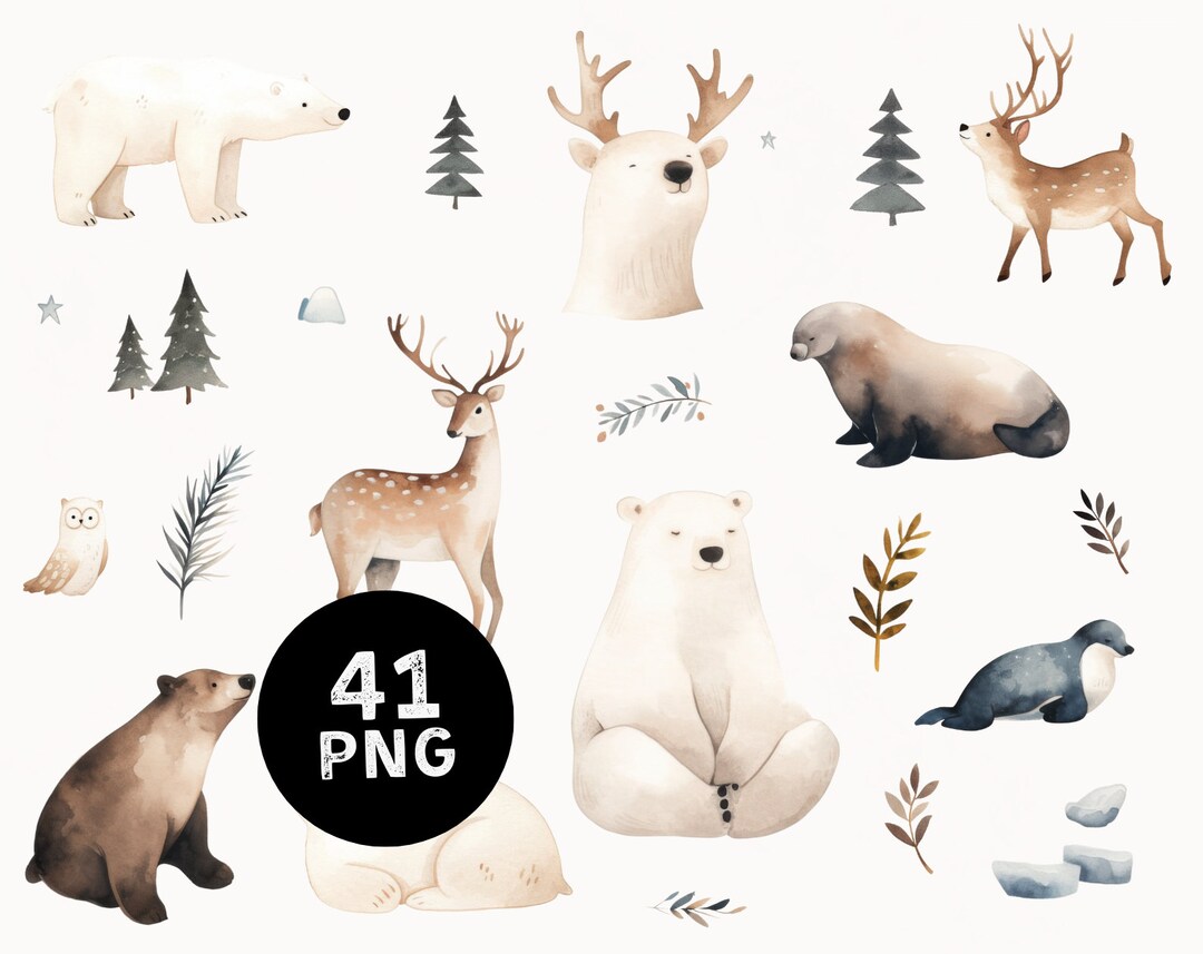 Cute Arctic Animals Clipart Set, Watercolor Style, PNG With Transparent ...