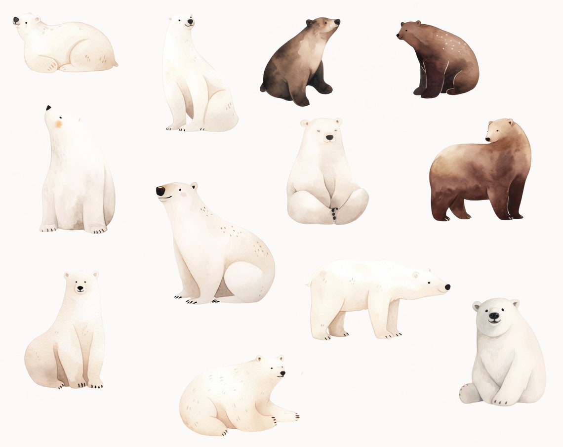 Cute Arctic Animals Clipart Set, Watercolor Style, PNG With Transparent ...