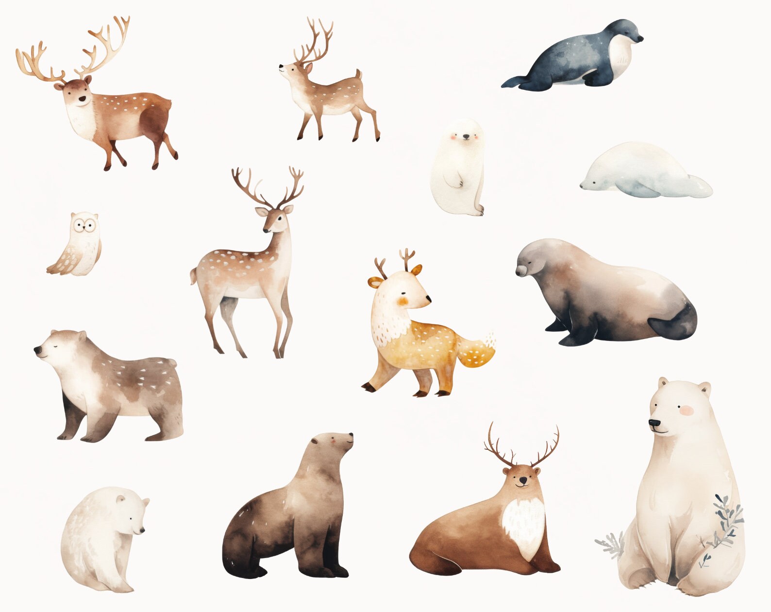 Cute Arctic Animals Clipart Set, Watercolor Style, PNG With Transparent ...