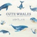 Cute Whale Clipart Set, Digital Downloads, PNG Graphics, Transparent ...