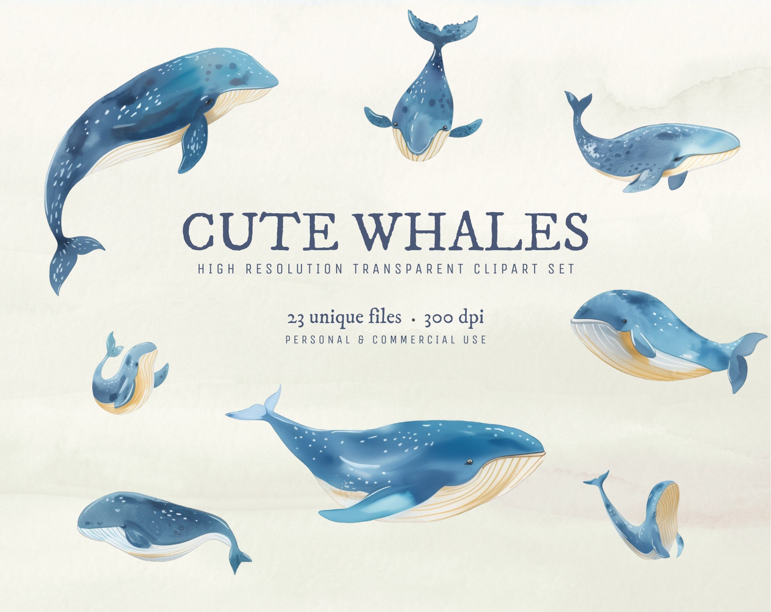Cute Whale Clipart Set, Digital Downloads, PNG Graphics, Transparent ...