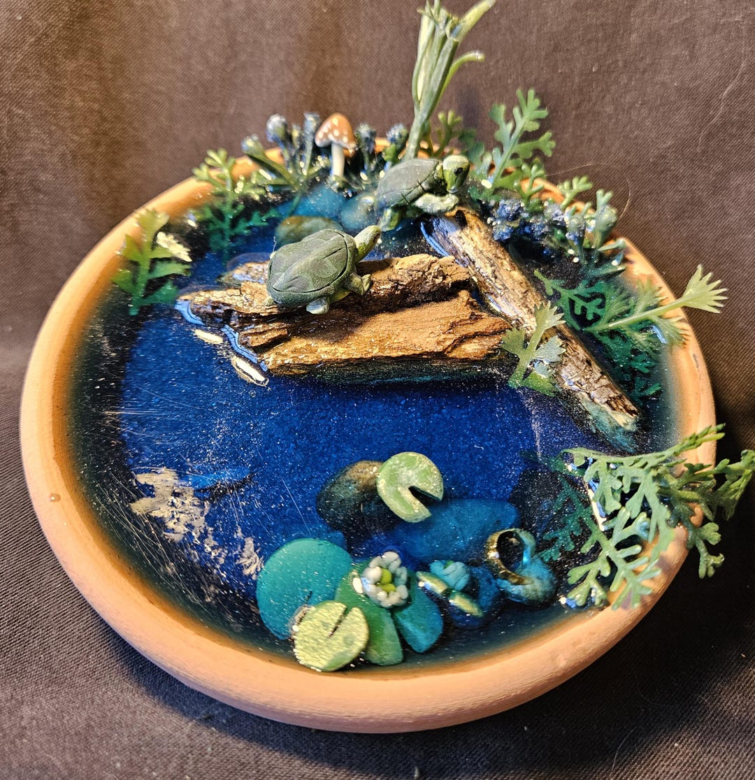 Mini Turtle Pond - Etsy