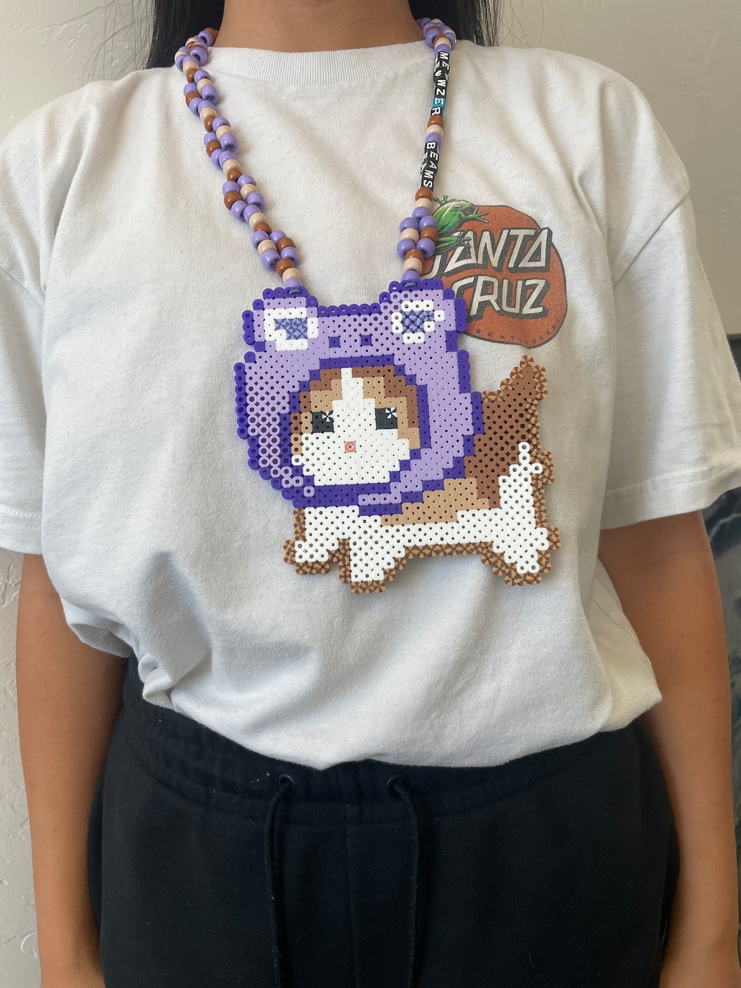 Meowzer Beams Kitty W/ Frog Hat Perler Necklace - Etsy