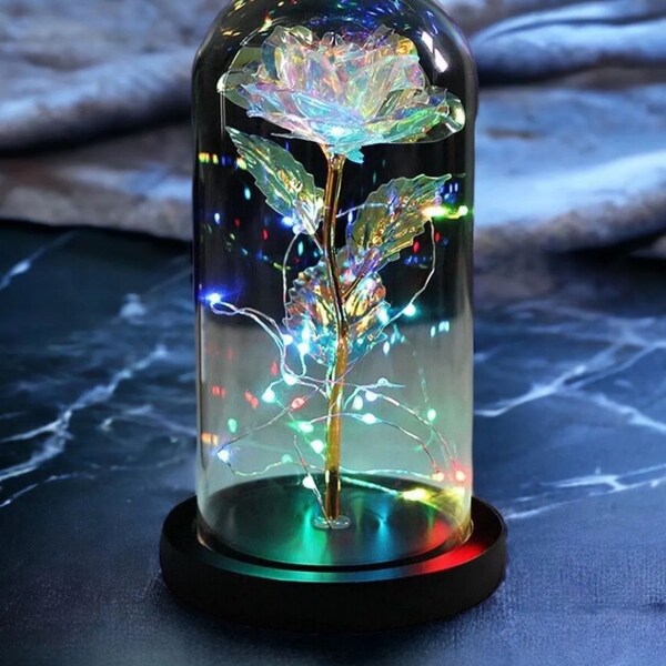 Rose in Glass Dome - Etsy