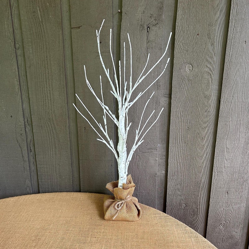 Birch Centerpiece - Etsy
