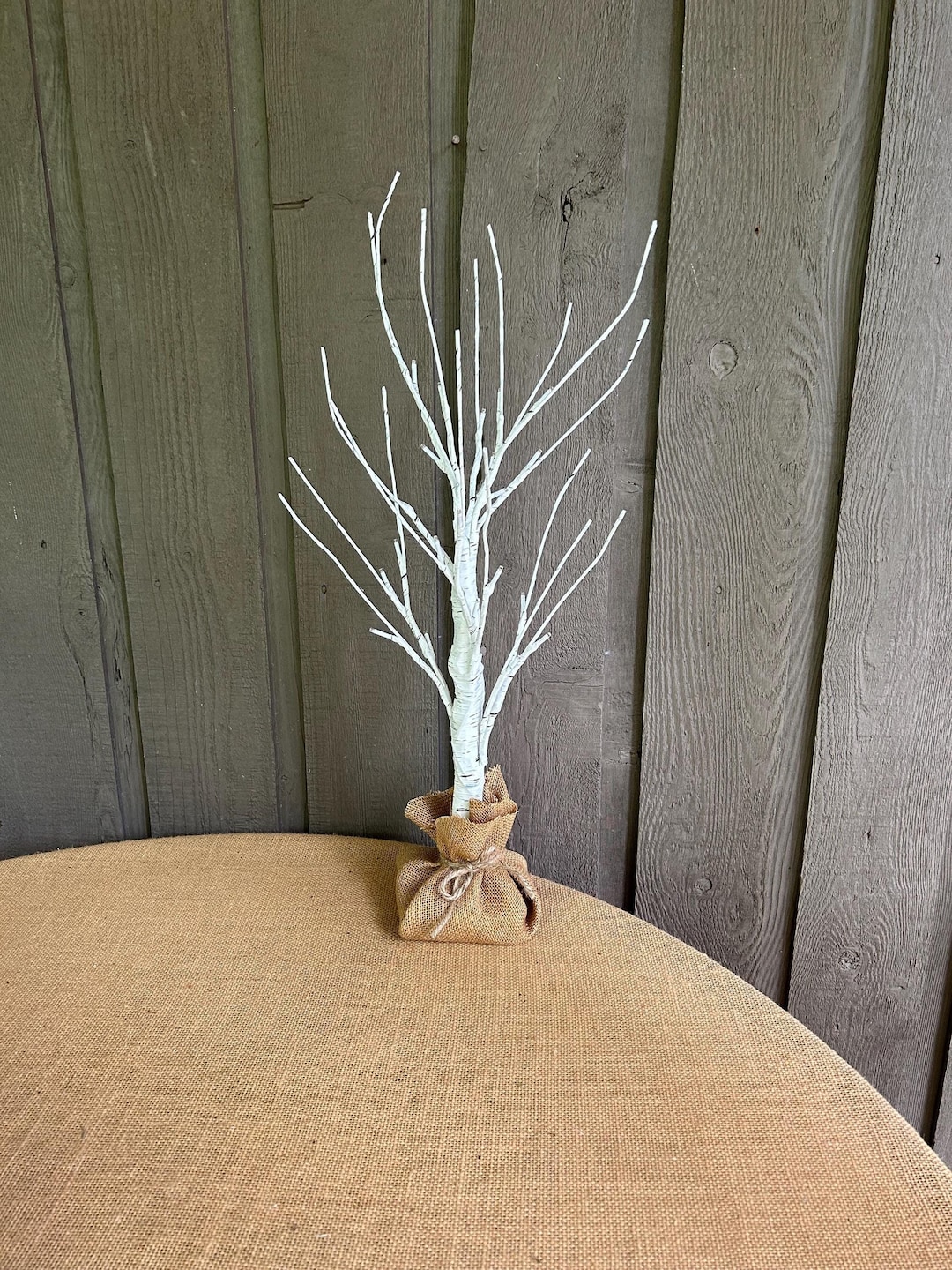 24 Inch Birch Tree Illuminated Tabletop Birch Tree All Season Tree ...