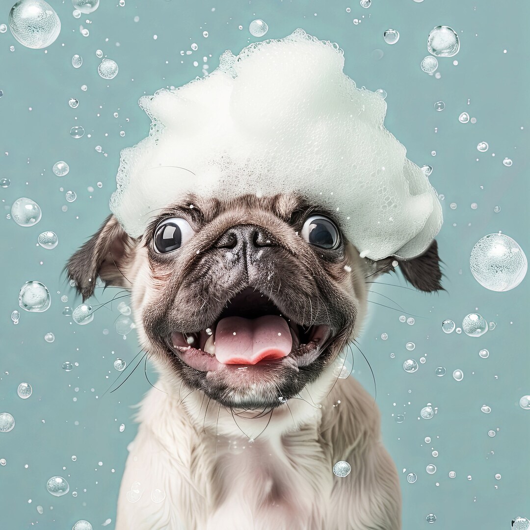 Digital Poster Pug Bathroom Decoration, Funny Wall Art for Bathroom ...