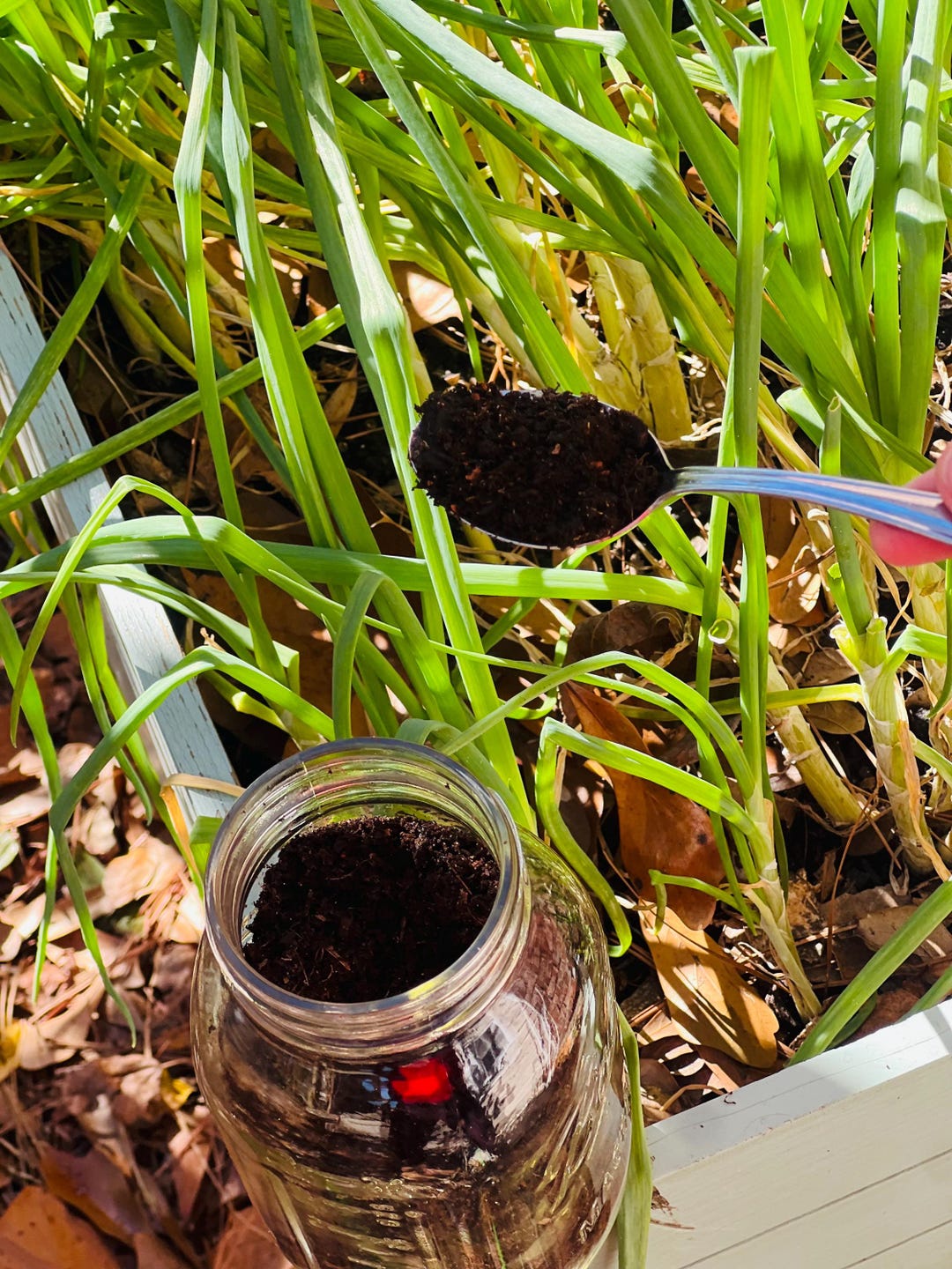 Organic Soil Booster - Dried Compost Soil Amendment for Houseplants ...