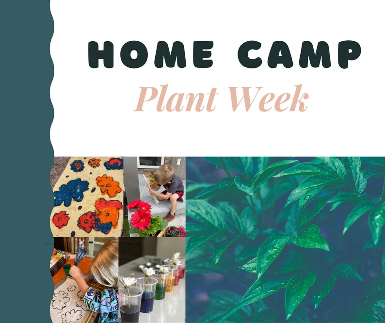 Plant Week Activities for Kids - Nature Crafts, Gardening Lessons ...