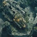 Spaceship Battlemaps, Dnd Maps, Sci-fi, Modern, Gridded Maps, Star Wars ...