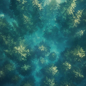 Forest Battlemaps, Forest Road, Dnd Maps, D&D, Pathfinder, Gridded Maps ...