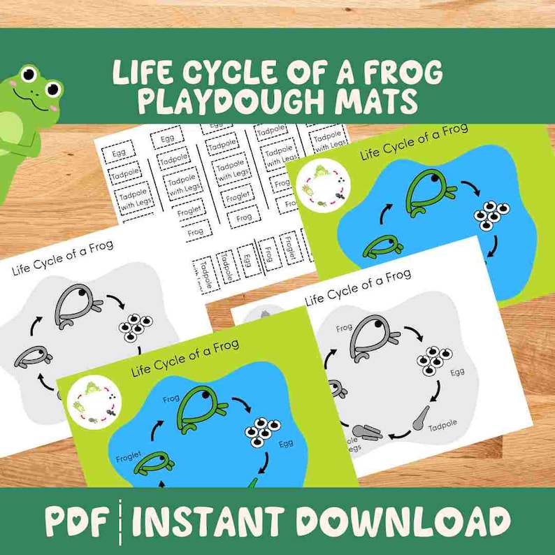 Frog Life Cycle Playdough Mats: Educational Printable Activity (5 Pages ...