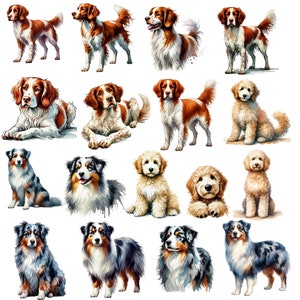 Watercolor Dog Clipart, Cute Dog PNG, Dog Breeds Clipart, Puppy Clipart ...