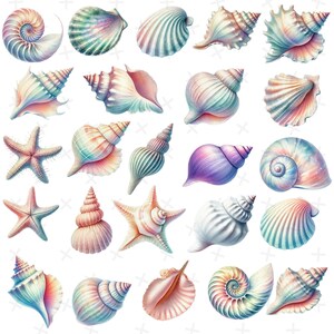 Watercolor Seashell & Coral Clipart: 70 PNG Files (digital Download) - Etsy