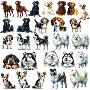 Watercolor Dog Clipart, Cute Dog PNG, Dog Breeds Clipart, Puppy Clipart ...