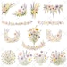 Watercolor Wildflower Clipart: Spring Floral PNG Bundle (digital ...