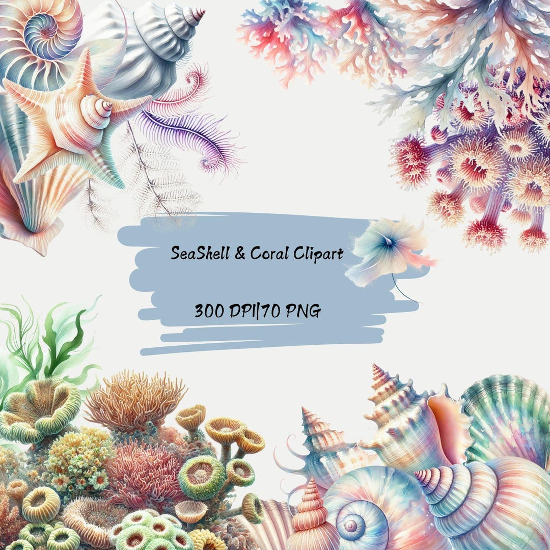 Watercolor Sheashells and Coral Clipart, Seashells PNG, Carol Reef PNG ...