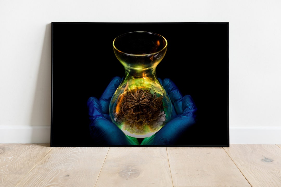 One Earth Fine Art Photo Print | Environmental Art & Home Decor - Etsy