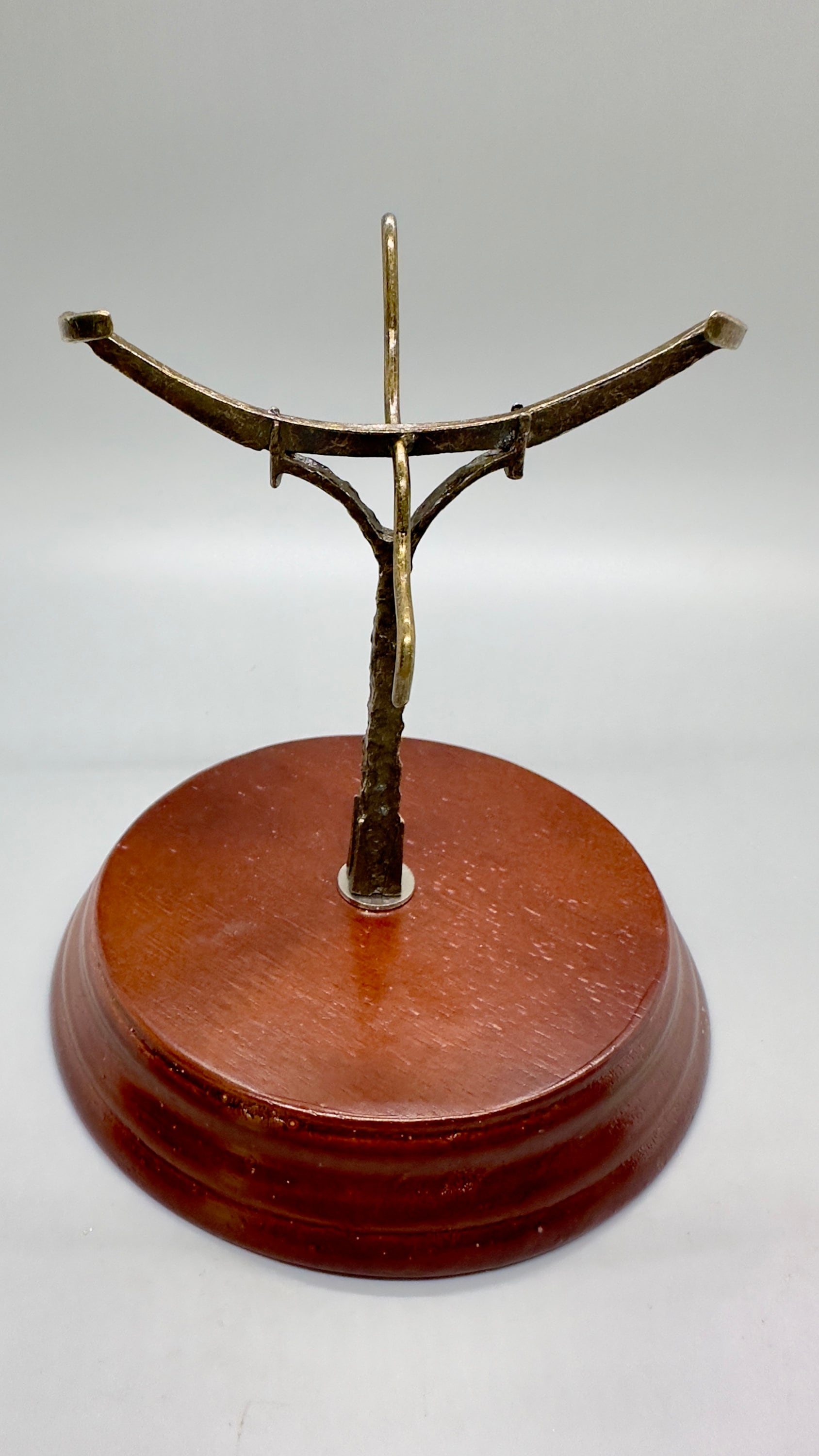 Fossil Megalodon Tooth Stand for Small and Medium Teeth Under 4.5" Long ...