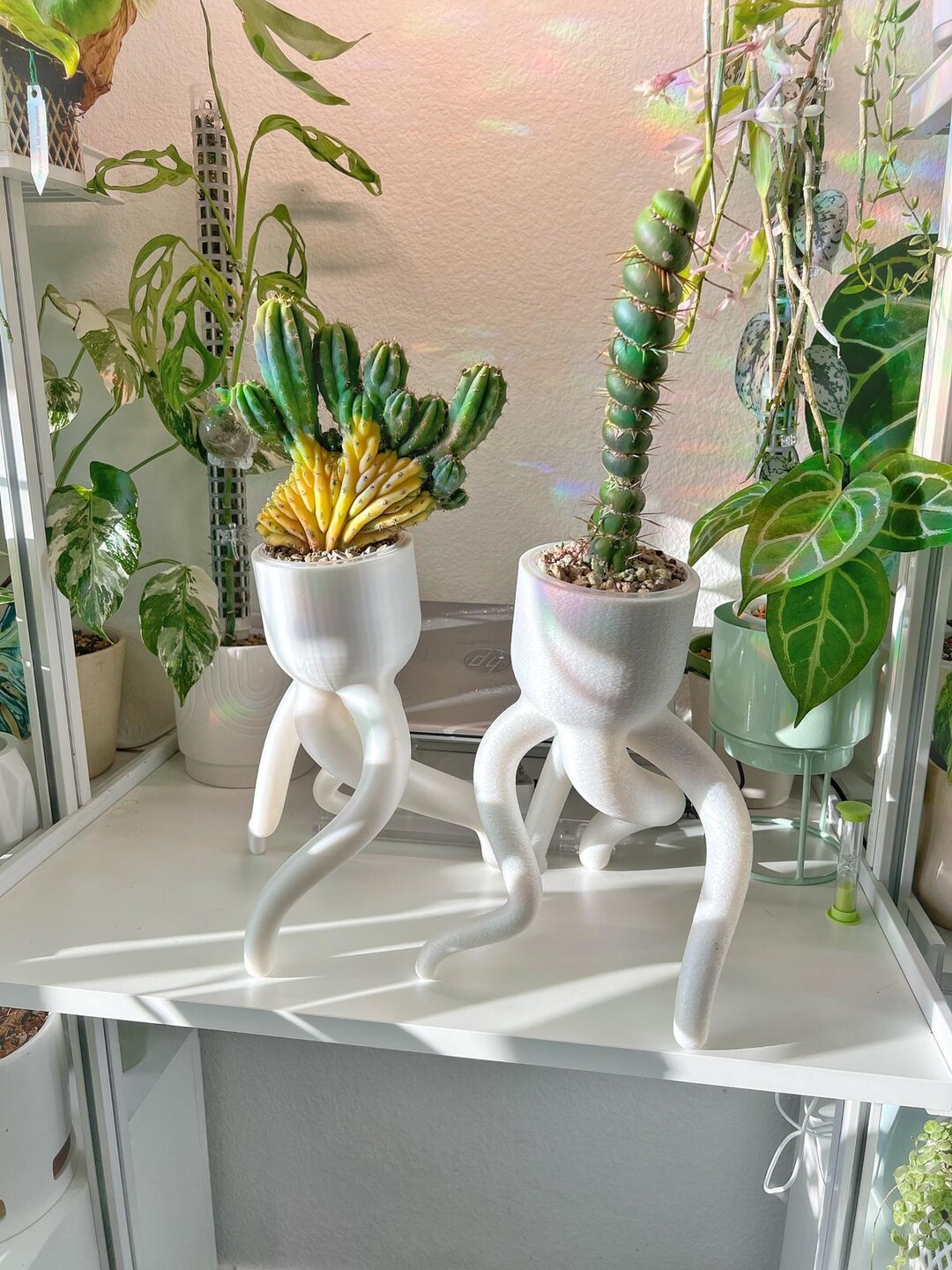 Tentacle Planter Pot - Unique Monster Plant Vase - 3D Printed Walking ...