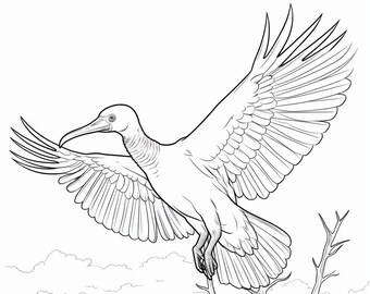 Trinidad & Tobago Coloring Page Instant Download - Etsy