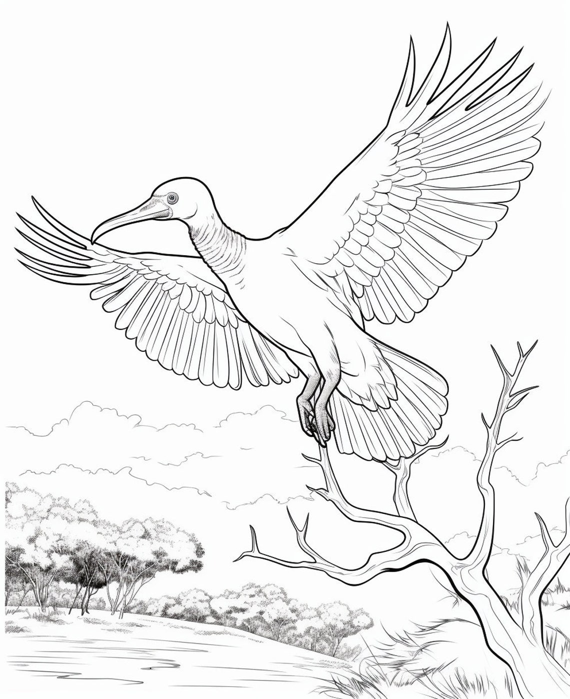 Trinidad & Tobago Coloring Page Instant Download - Etsy