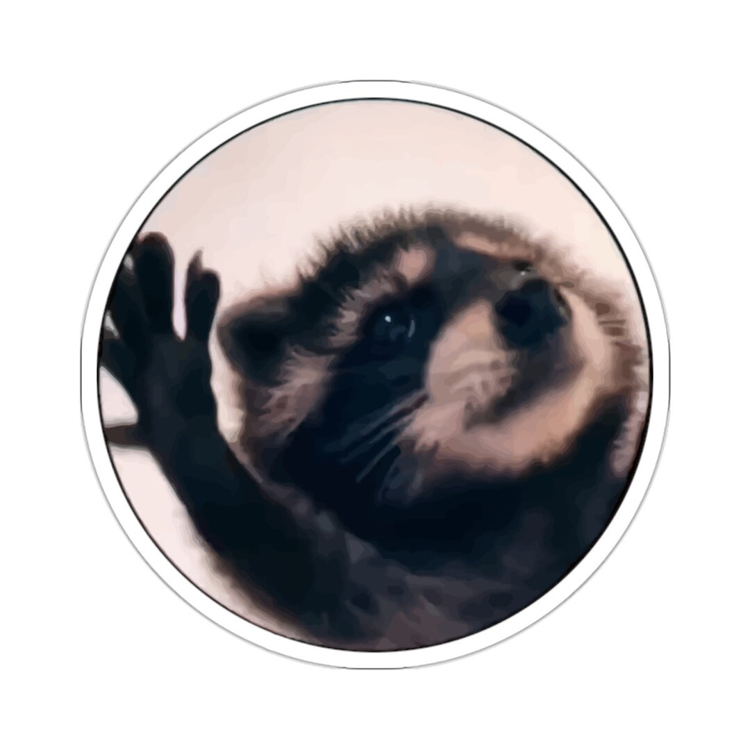 Dancing Raccoon Sticker, Dancing Raccoon Meme, Raccoon Meme Sticker ...
