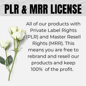 MRR Digital Planner Template Canva Template PLR Digital Planner 7500 ...