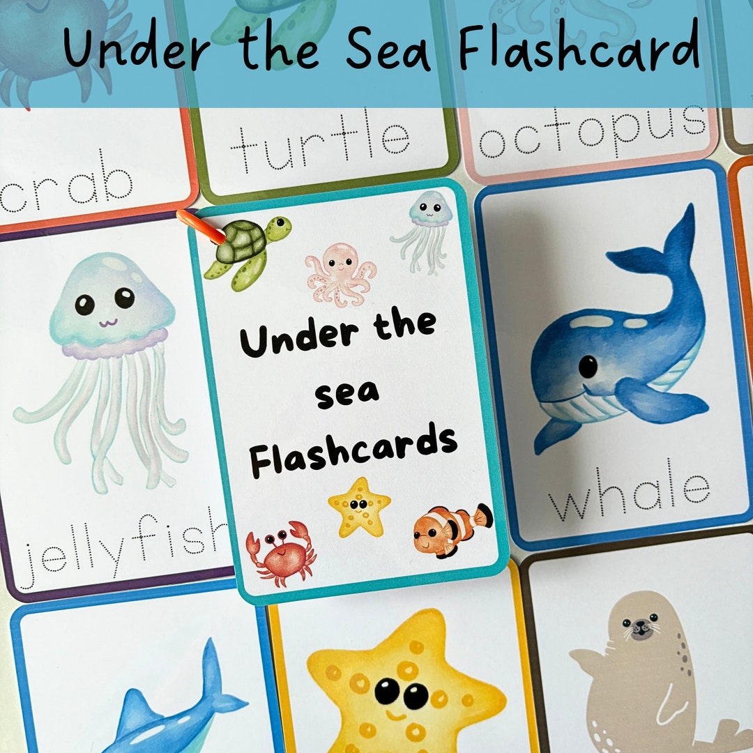 Under the Sea Flashcards, Toddler Learning Resource, Marine Life Flash ...