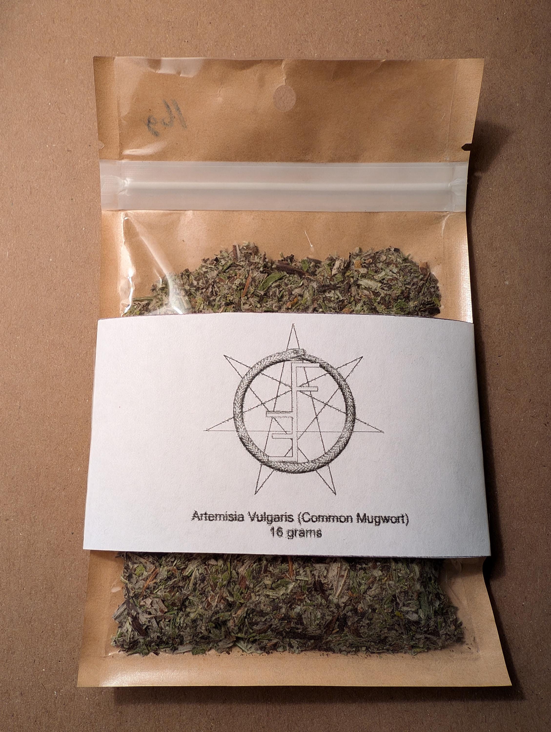 Mugwort (artemisia Vulgaris) Natural Wild Herb Leaf - Etsy