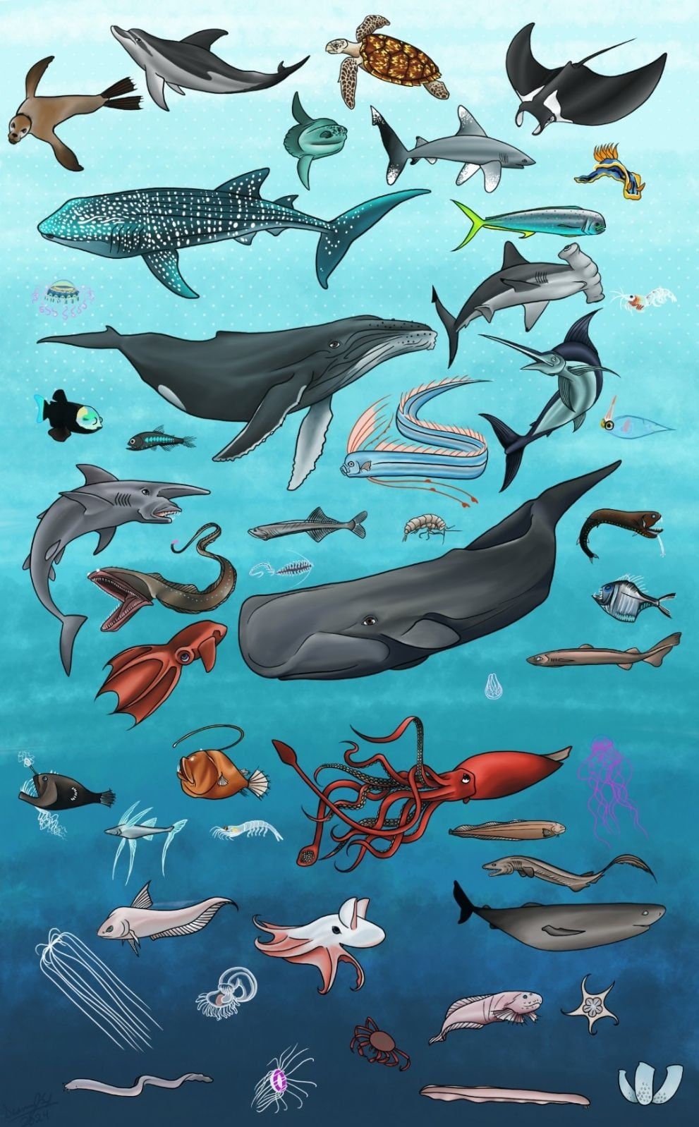 Marine Animal Sticker - Pelagic Zone, Marine Life, Sea Life, Marine ...