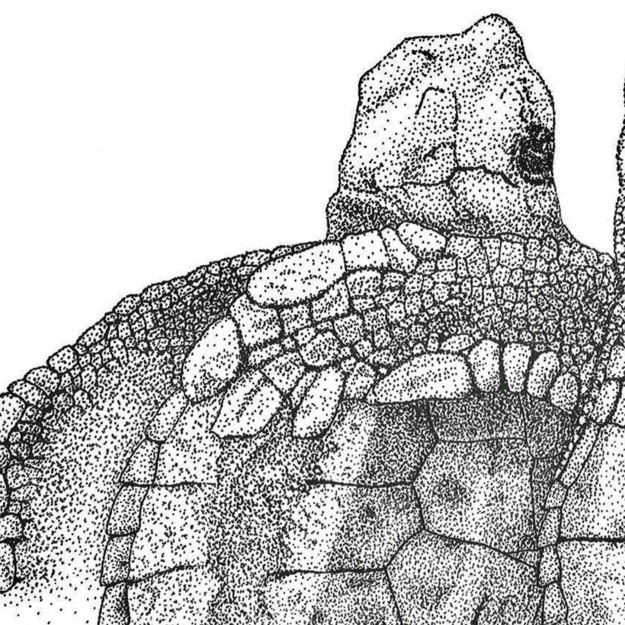 Pointillism Baby Sea Turtles Print - Etsy