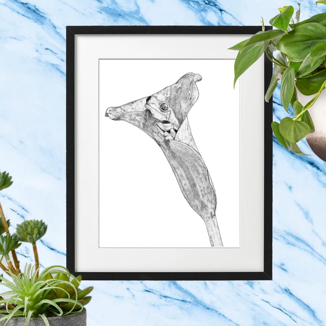 Pointillism Frog in A Flower Print - Etsy