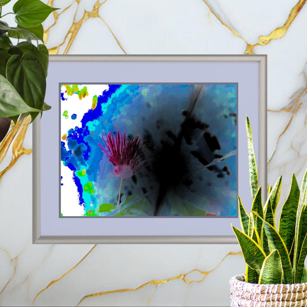 Inverted Red Powder Puff Flower Photography Print - Etsy