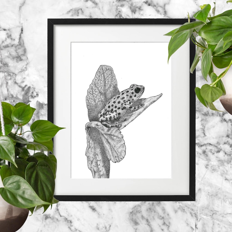 Pointillism Poison Dart Frog Print - Etsy Canada