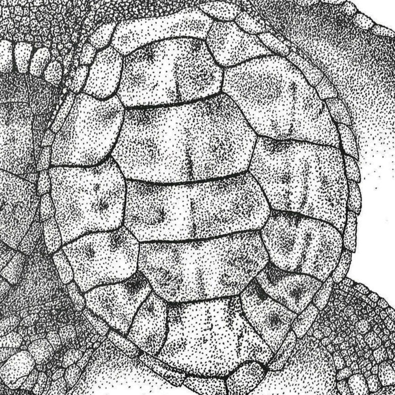 Pointillism Baby Sea Turtles Print - Etsy