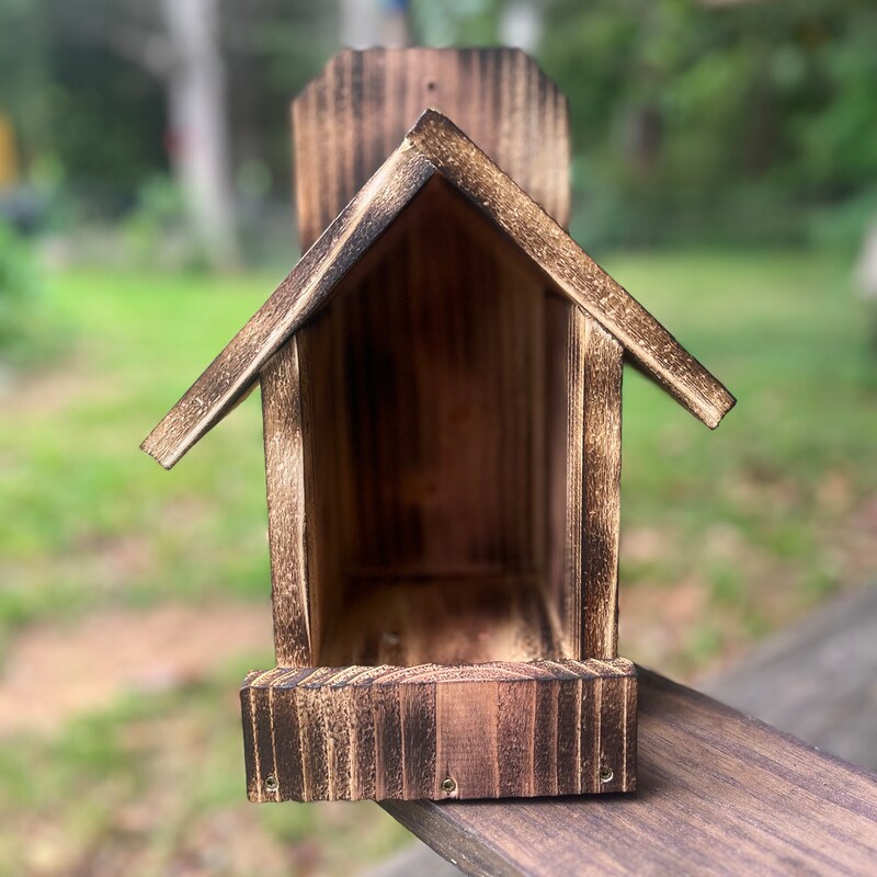 Robin Bird House - Etsy