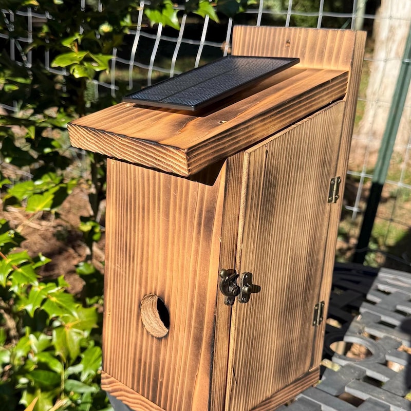 Squirrel House With Camera - Etsy