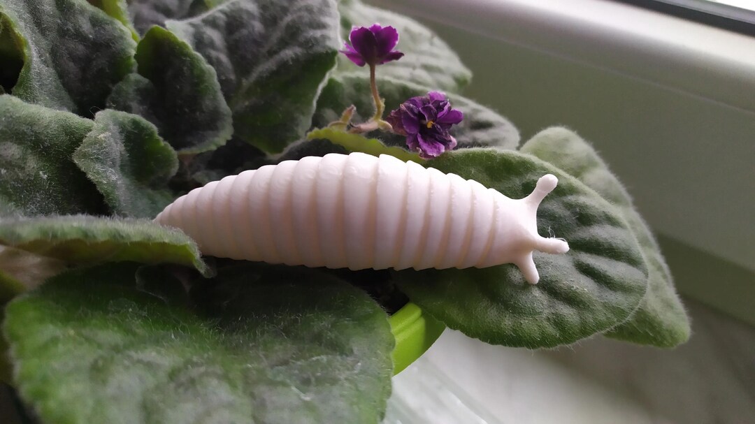 Articulated Slug Fidget Toy Unique 3D Printed Wiggly Sensory Toy - Etsy