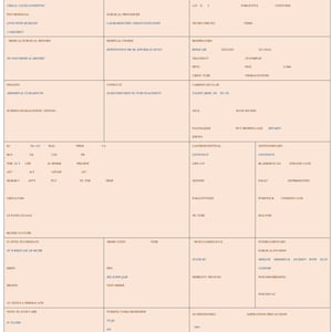 Detailed Nursing Report Sheet - Etsy