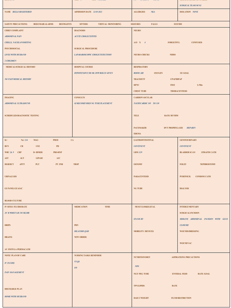 Detailed Nursing Report Sheet - Etsy