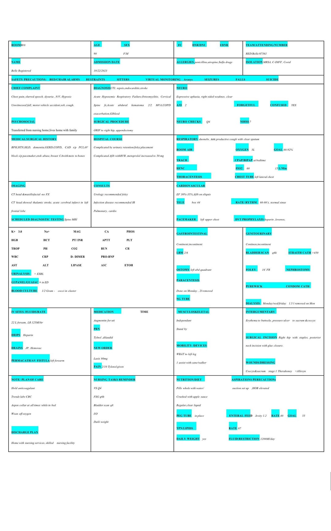 Detailed Nursing Report Sheet - Etsy