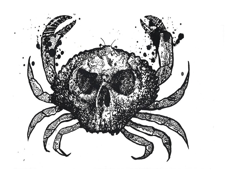 Skull Crab Ink Sketch Goth Crustacean Illustration Sea Creature ...