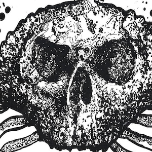 Skull Crab Ink Sketch Goth Crustacean Illustration Sea Creature ...